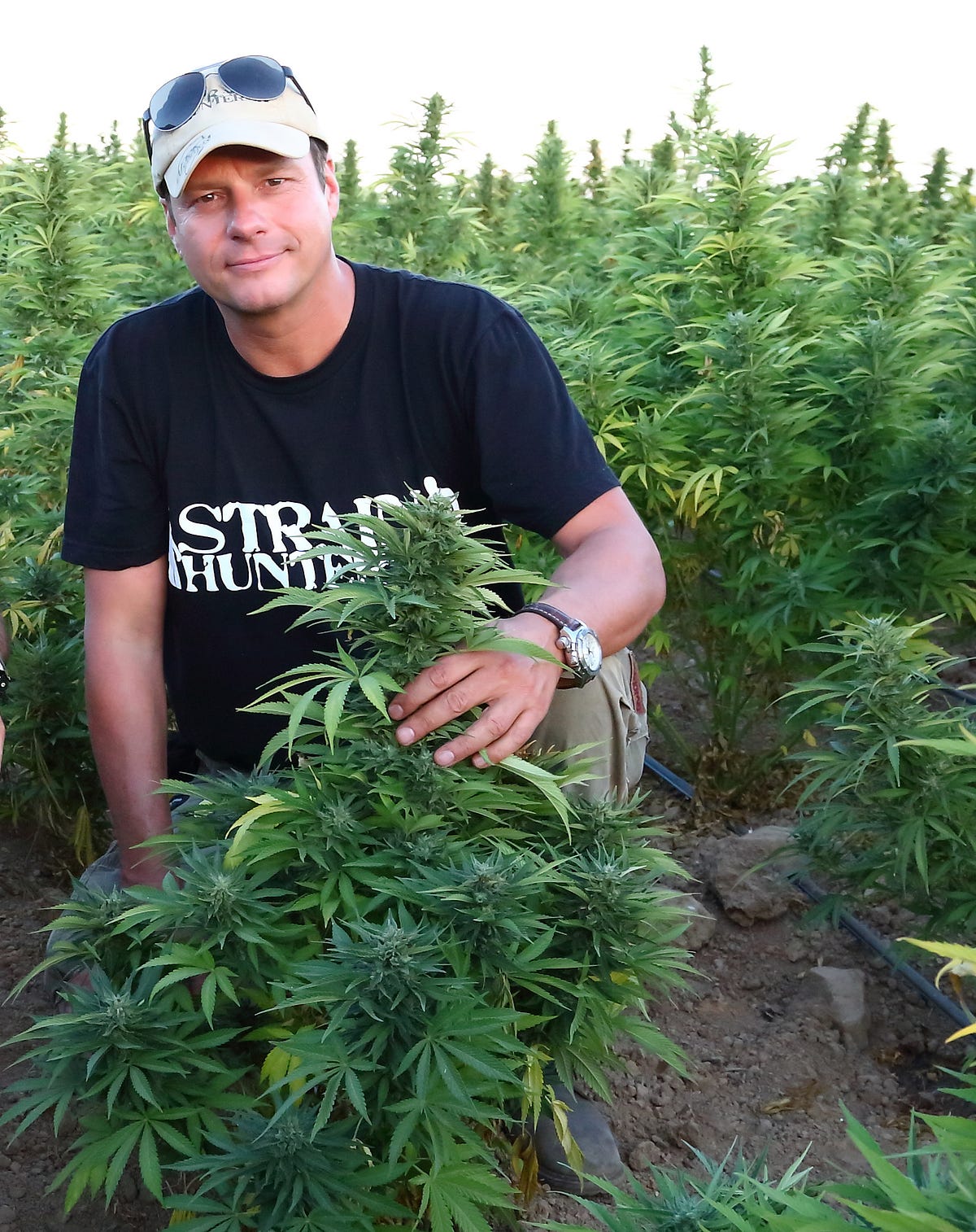 Who Is The King Of Cannabis You Might Not Know Who Arjan Roskam 