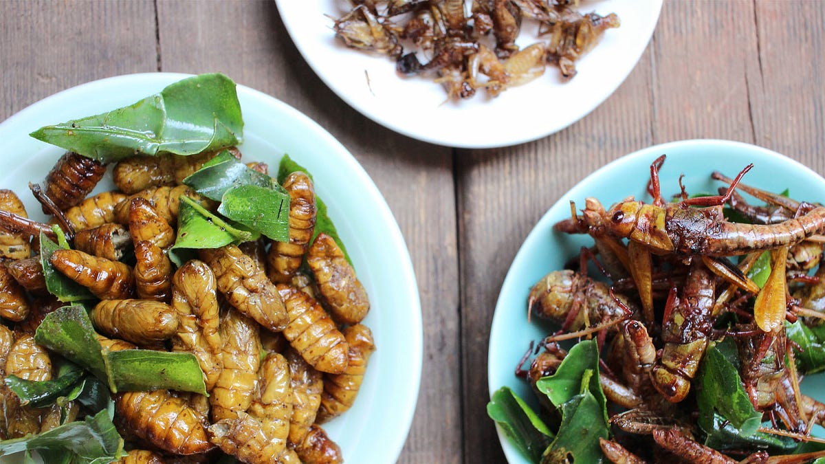 Would you eat insects for dinner? …no? We think you will be soon. Here ...