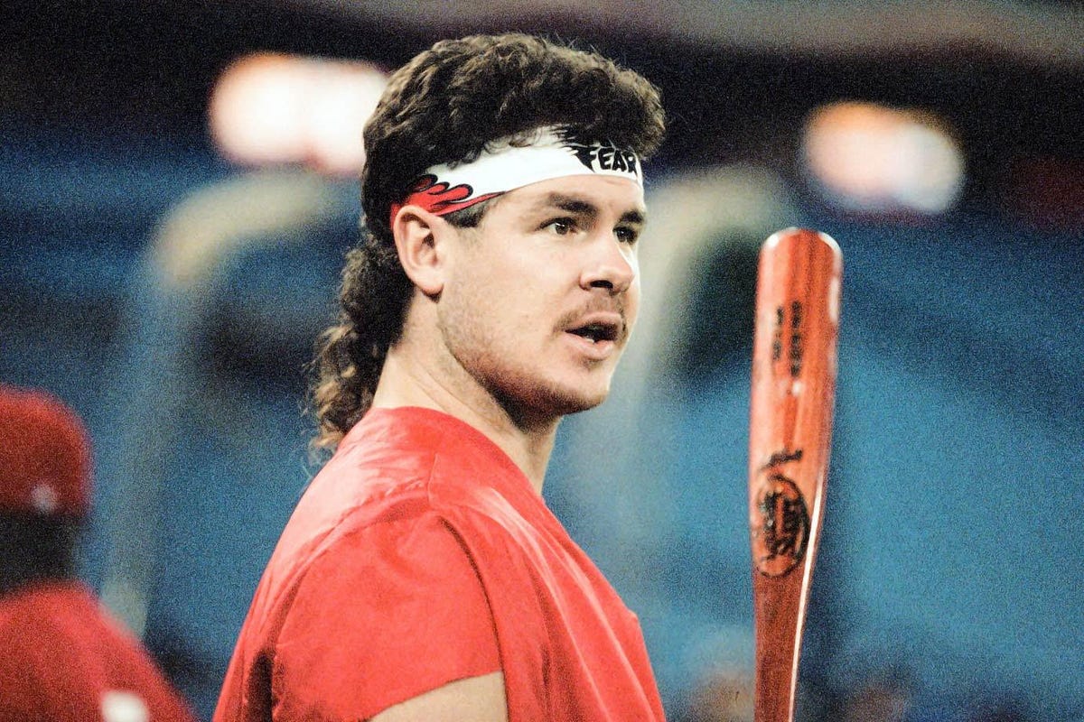 Don’t Tell Mitch Williams That Mike Schmidt Is a Known DogFighter | by ...