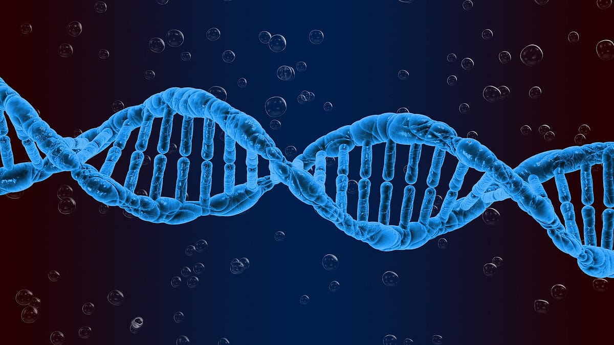 How To Create An Easy Genetic Algorithm In Python By Aitor Velasco Predict Medium 9564