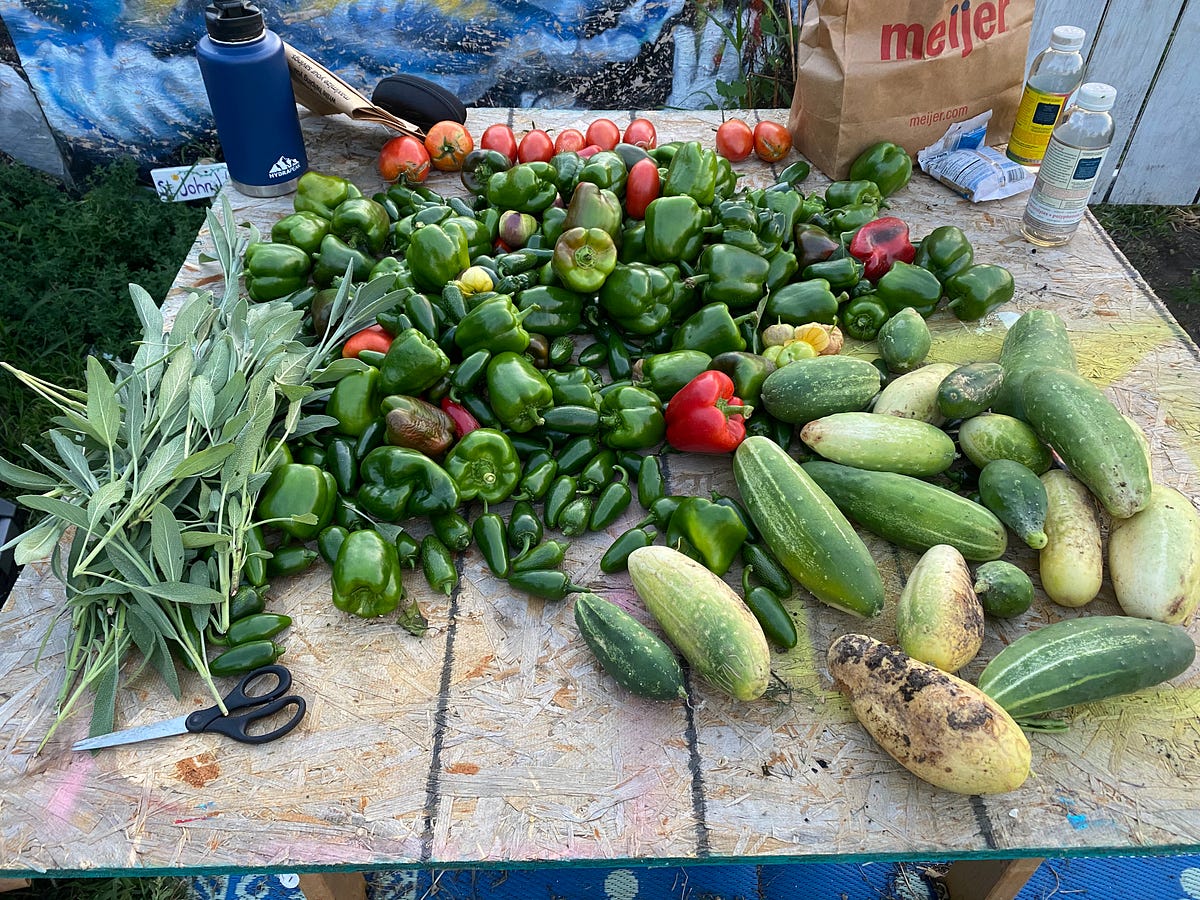 Plant Medicine & Getting Sober. How the “hoop house” came to fruition ...
