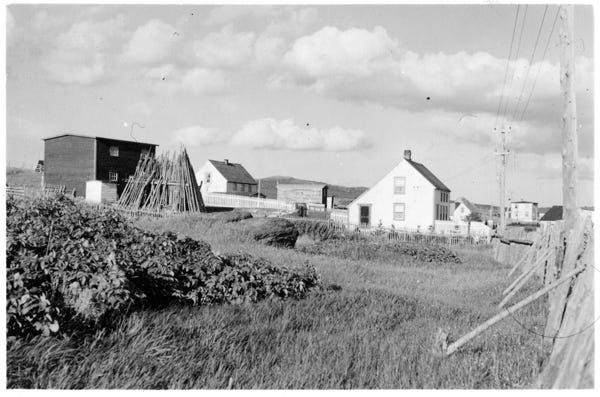 Vernacular Outport Newfoundland. Through Archive Photographs | by Adam ...