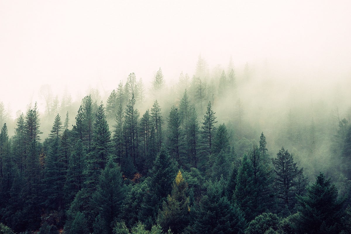 Outlier Detection With Extended Isolation Forest By Eryk Lewinson Towards Data Science