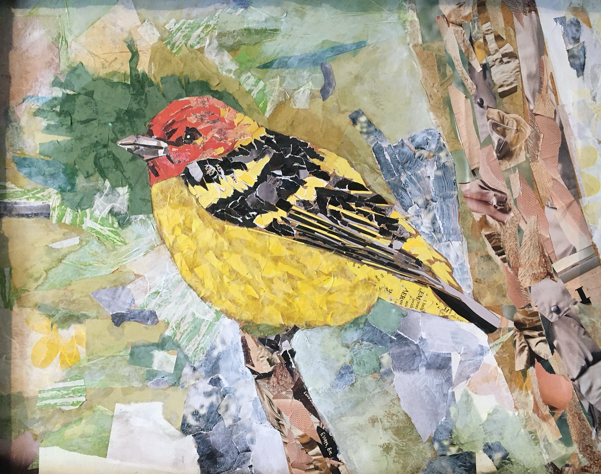 Western Tanager | Adrik. My work was inspired by the desire to… | by ...