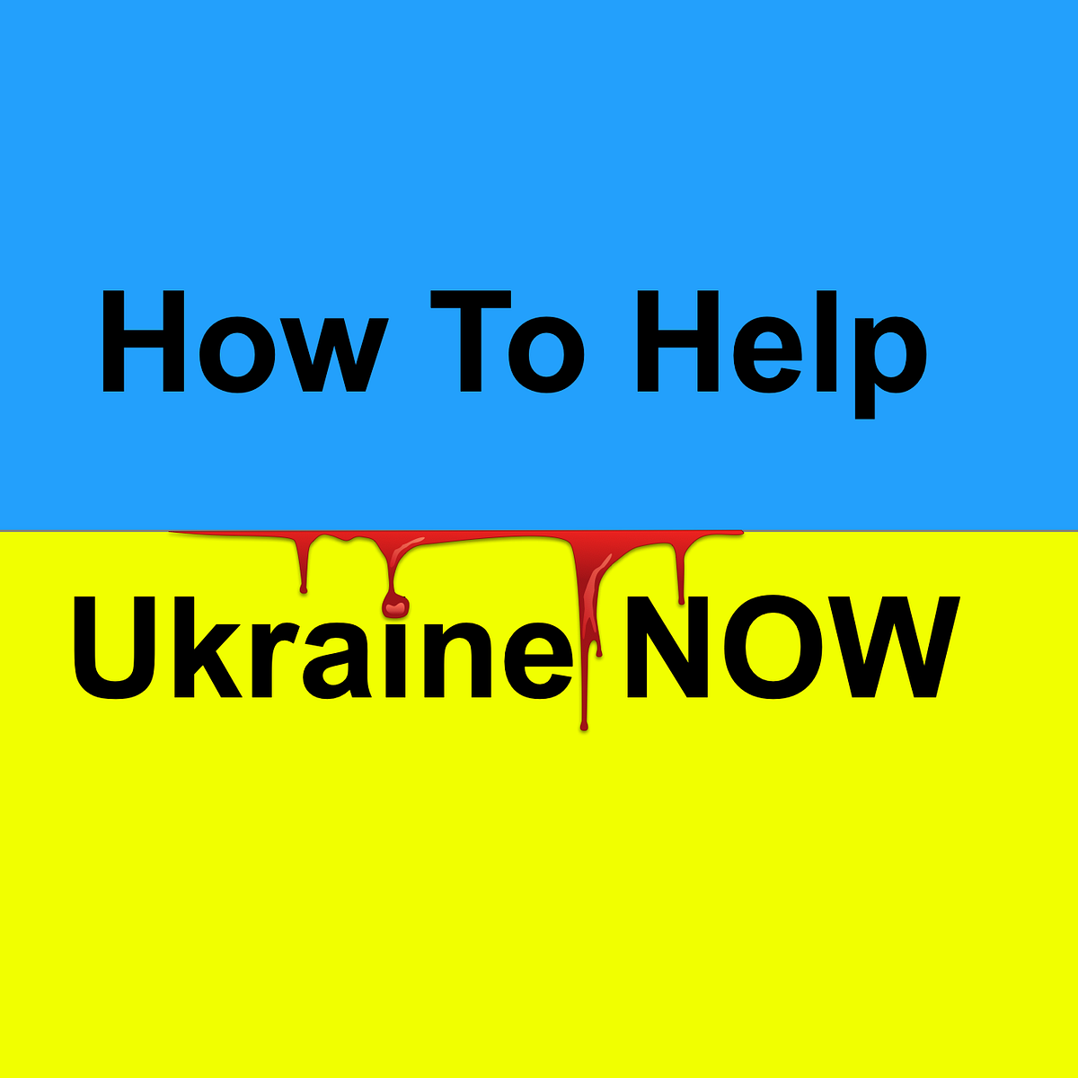 How to Help Ukraine NOW. In a war effort, every little thing… | by ...