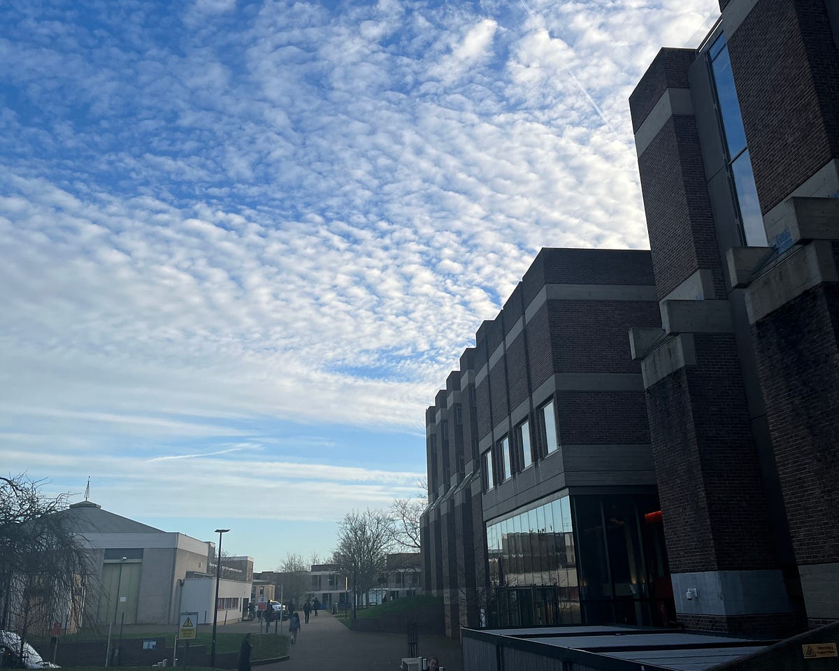 Templeman Makes Shh Happen. The Spring Term is in full swing, and… | by ...
