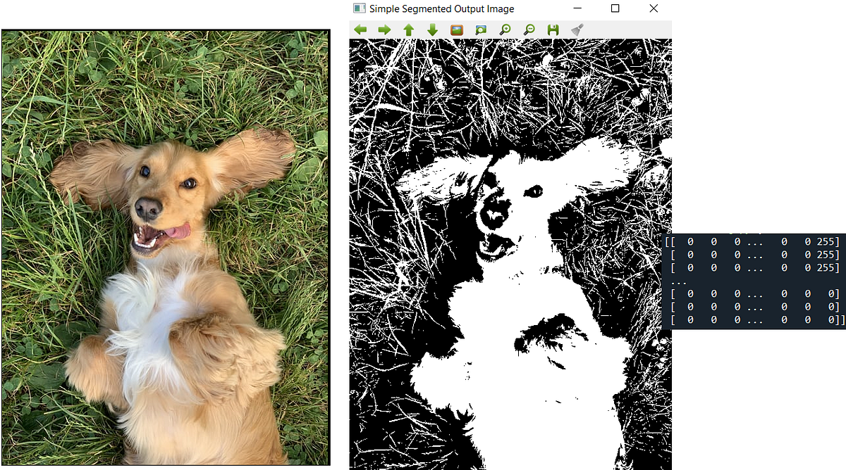 Image Segmentation with Classical Computer Vision-Based Approaches | by ...