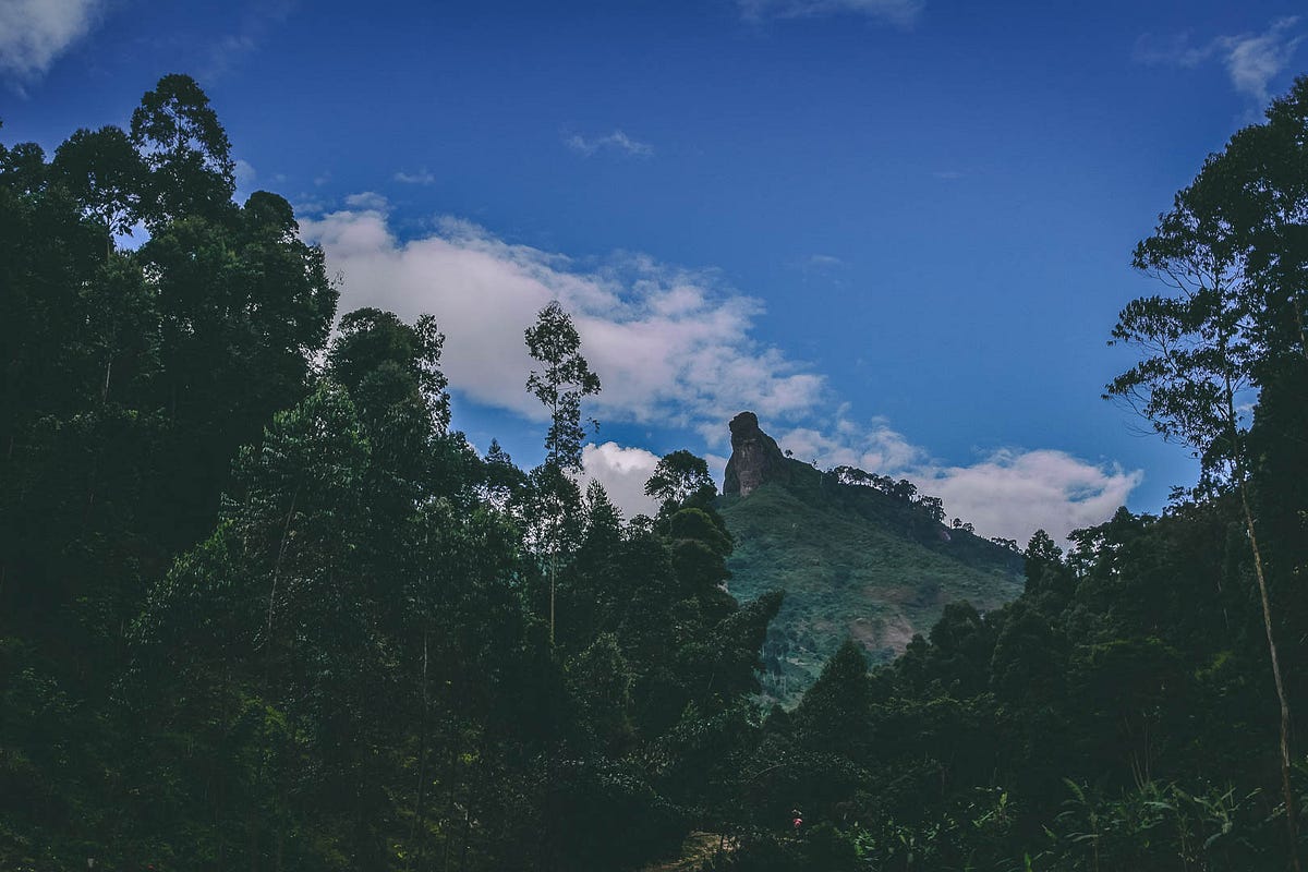 Honeymoon in Bududa!. In a few weeks we will be hosting a… | by Grace ...