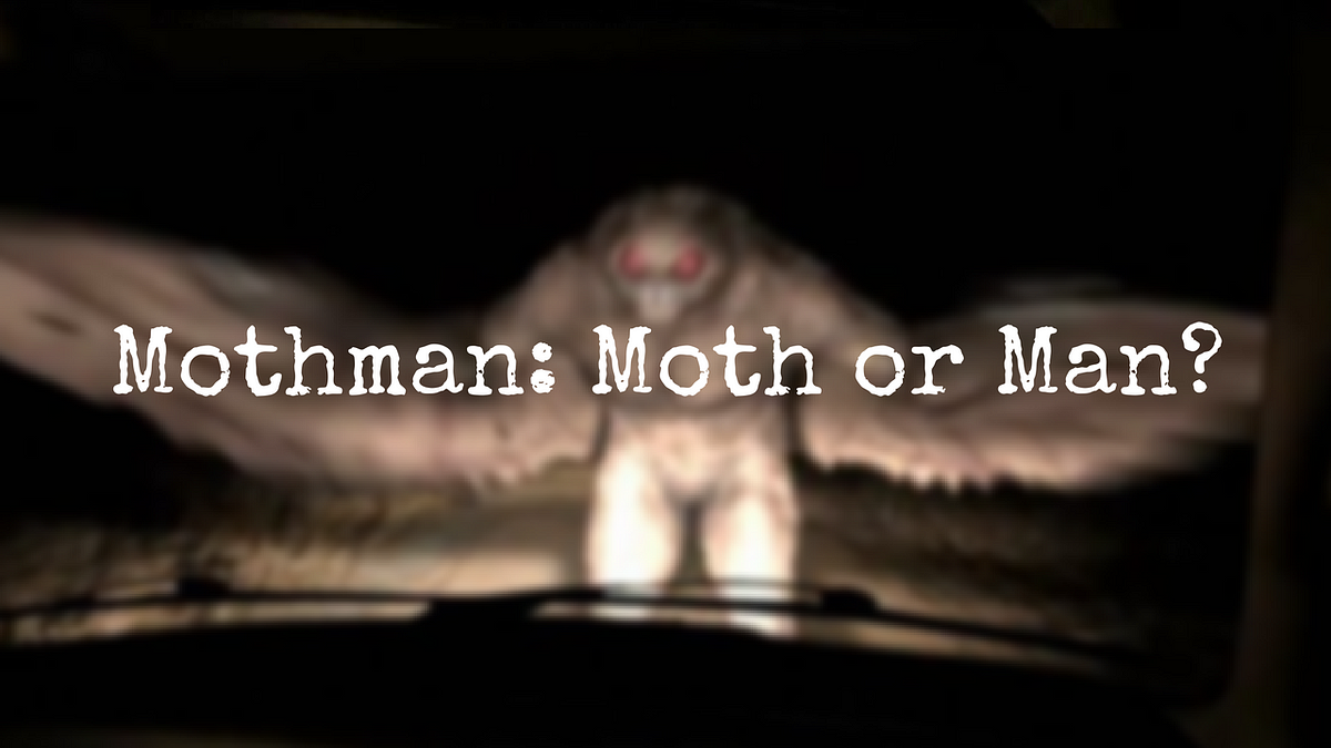 Mothman’s Saga. The mothman is a legendary creature… | by Strange But ...
