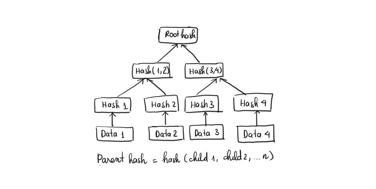Ethereum Patricia trie - Merkle tree, Radix tree, and trie node | by ...