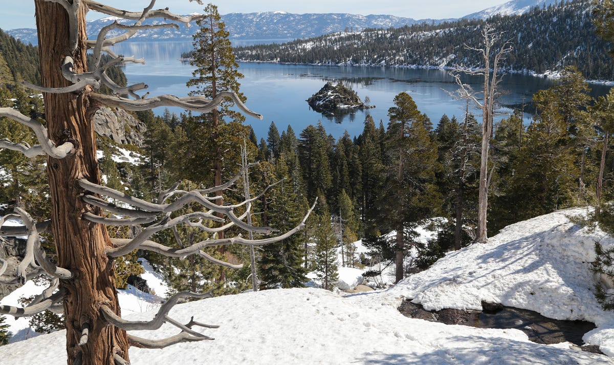 A Tahoe reminder. No signal. I love when it says that. In… | by Tim ...