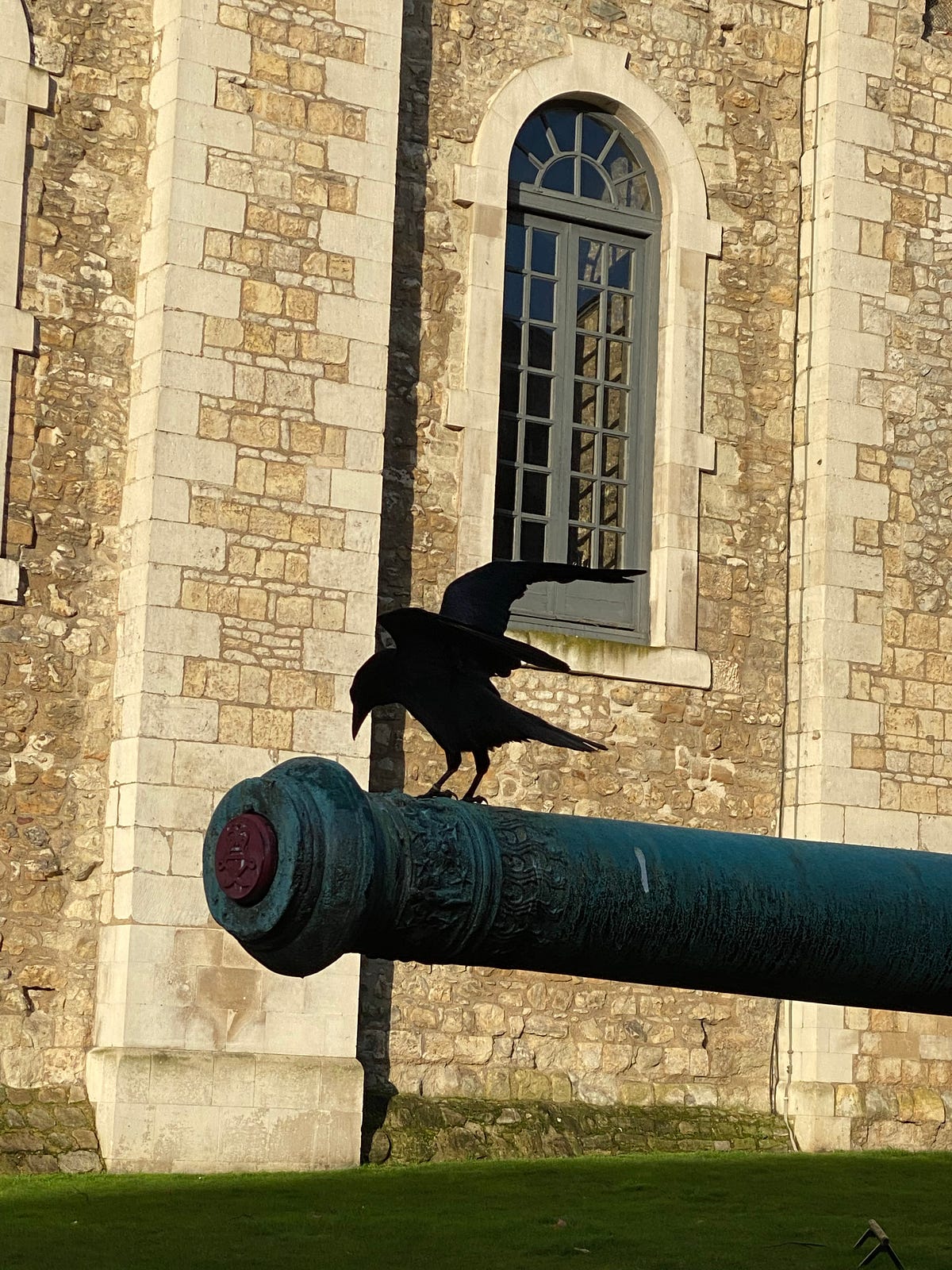 Ravens Live At the Tower Of London | by Jillian Amatt - Artistic ...