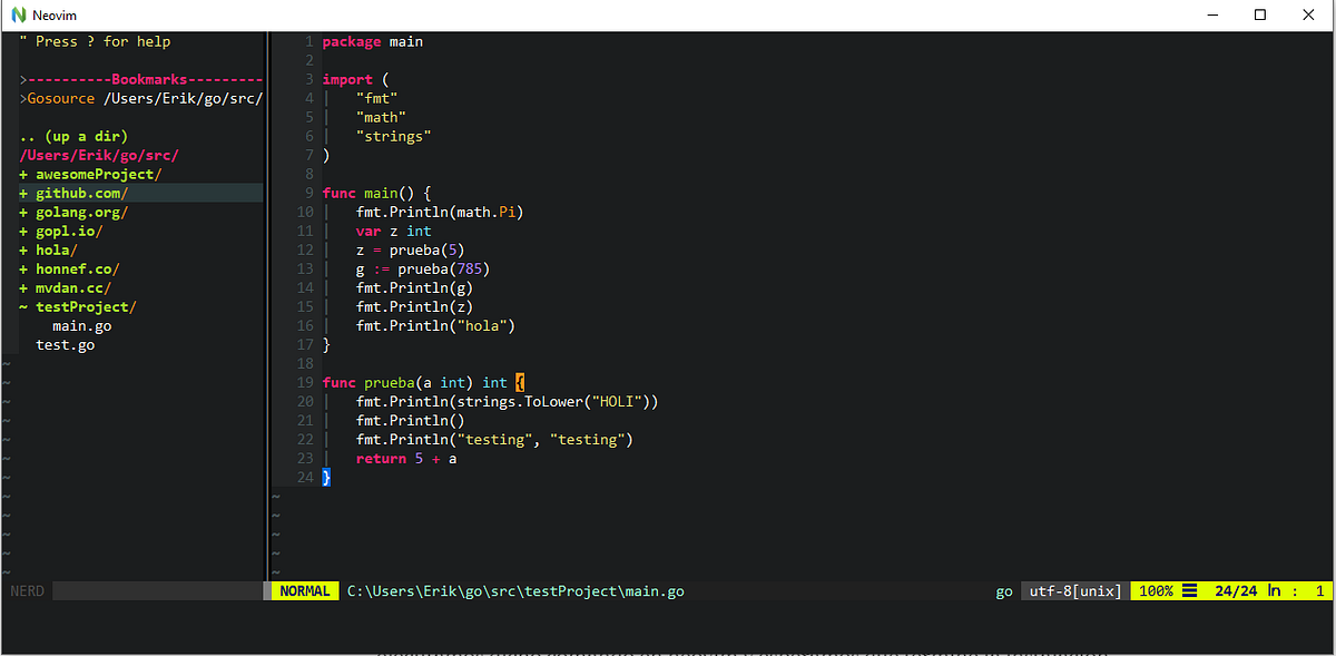 Neovim Windows