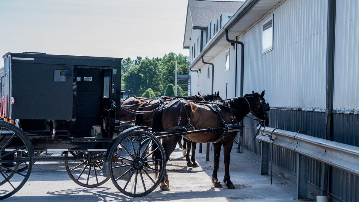 Can Anyone Become Amish?. In short, yes you can, but it would be… | by ...