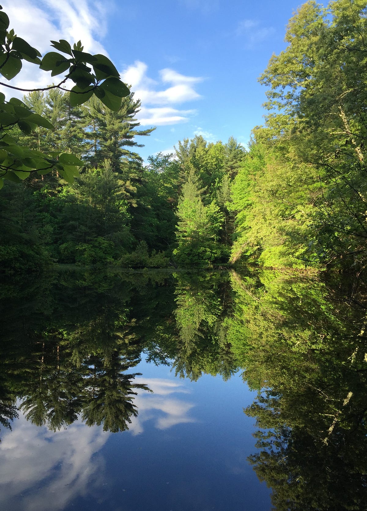 Under A Blue Sky On A Perfect Day By Erik Smith Medium Under A Blue Sky On A Perfect Day By Erik Smith Medium