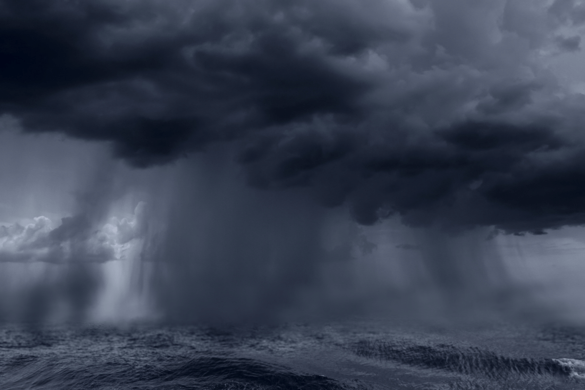 Searching for Landfall in a Raging Storm | by Jacqueline Jannotta ...