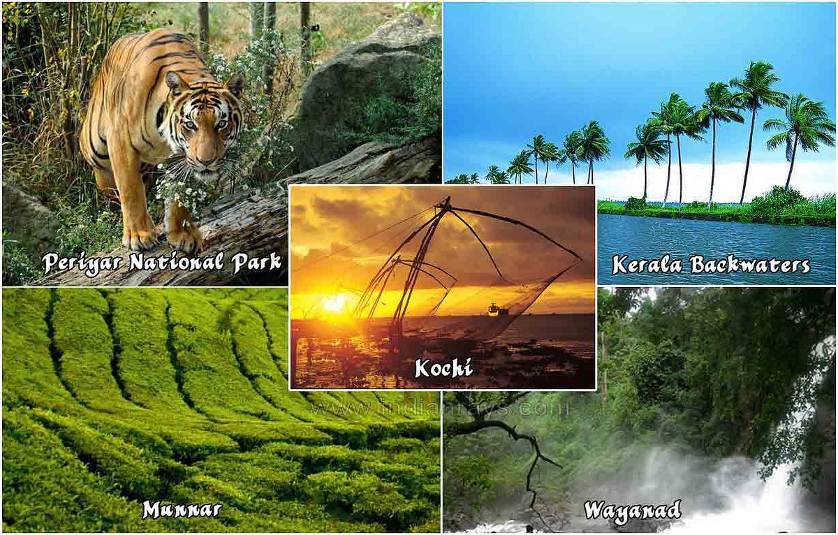 The Best Way to Have a Panoramic View — Kerala Tour | by Nomika Agarwal ...