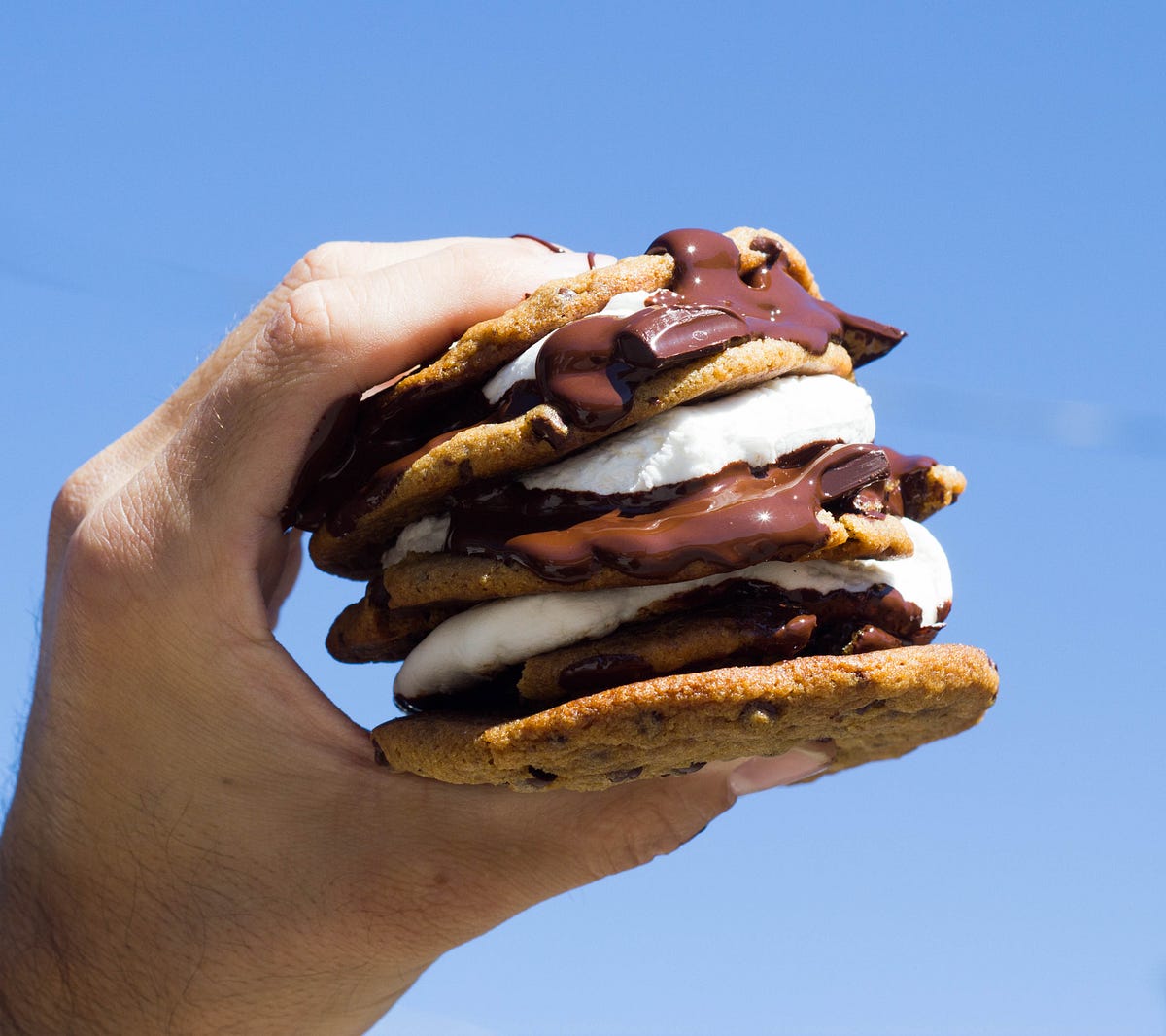 MORE S’MORES. Recipe Roundup | by Chicago Vegan Foods | Medium