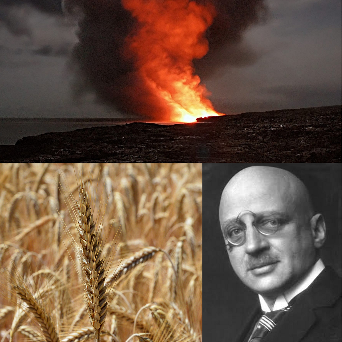FRITZ HABER THE MAN WHO SAVED BILLIONS AND KILLED THOUSANDS | by ALEX ...