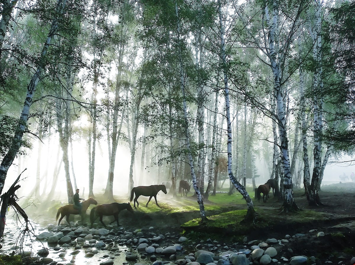 Seven Days of Rain. On the first day of rain, there was… | by The Owl ...