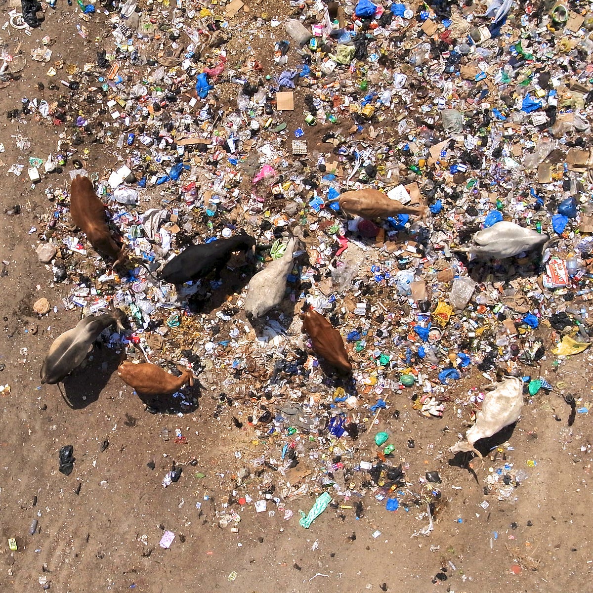 Zero Waste Living in Rwanda. Why I am thinking about Zero Waste… | by ...