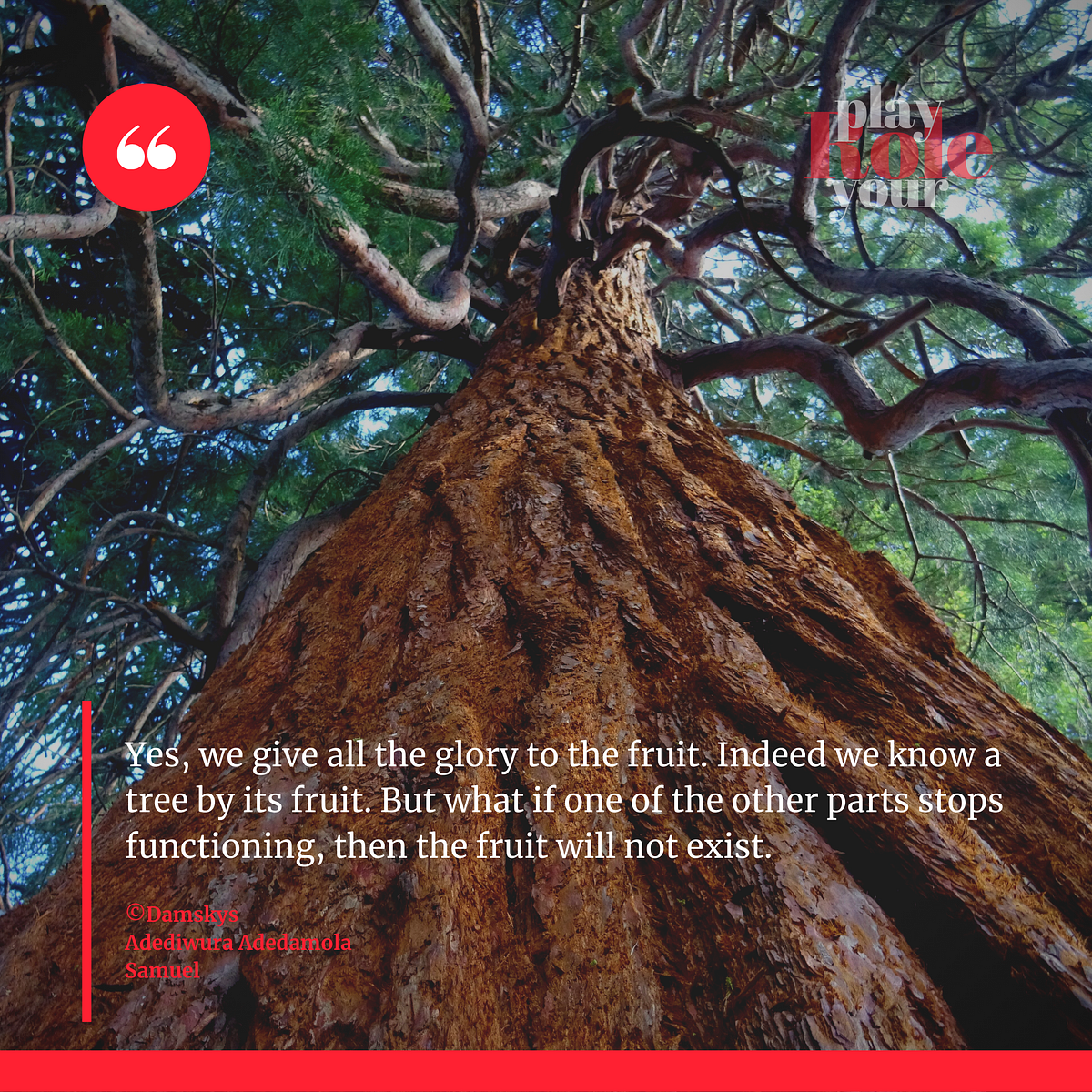 Play your role anyway. The majestic reality of a tree is what… | by ...