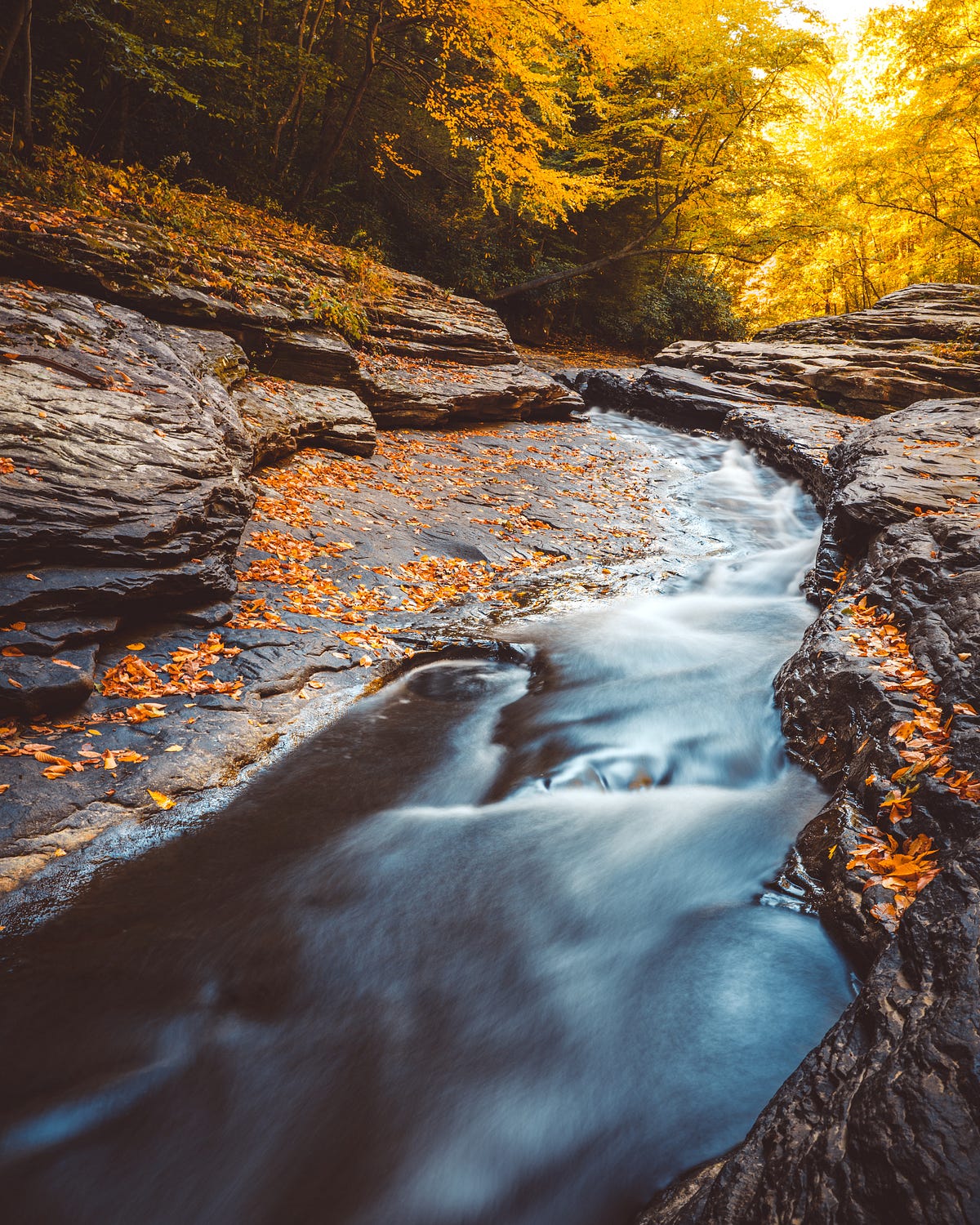 Stream. A poem | by Alex Godley | iPoetry | Oct, 2022 | Medium