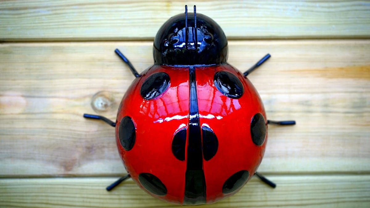 The Millennium Bug Have You Heard About The Y2K Bug By Mukul The Millennium Bug Have You Heard About The Y2K Bug By Mukul