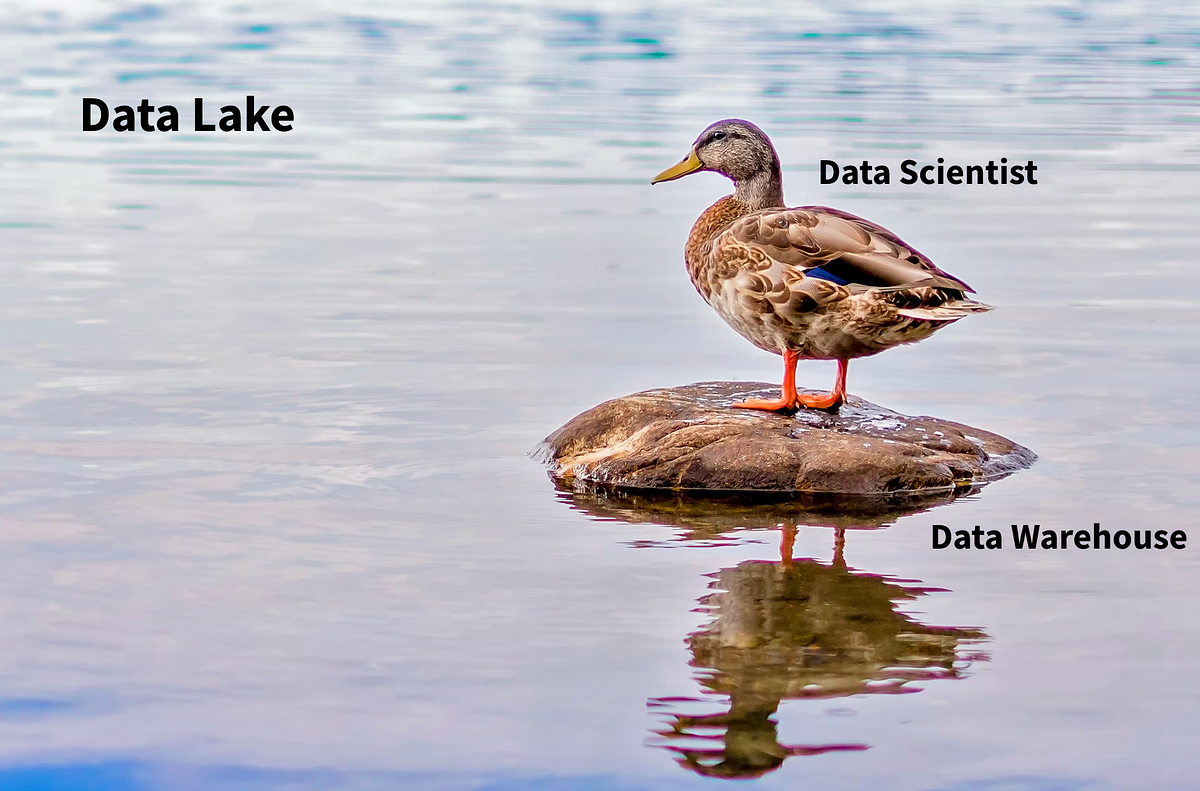 How Should Organizations Structure Their Data By Michael Berk Towards Data Science