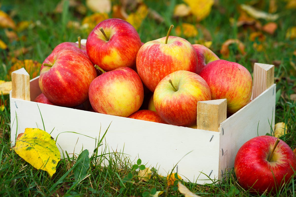 Do You Fear Fruit? Get the Real Scoop on Sugar. | by Nick Borja, MD ...