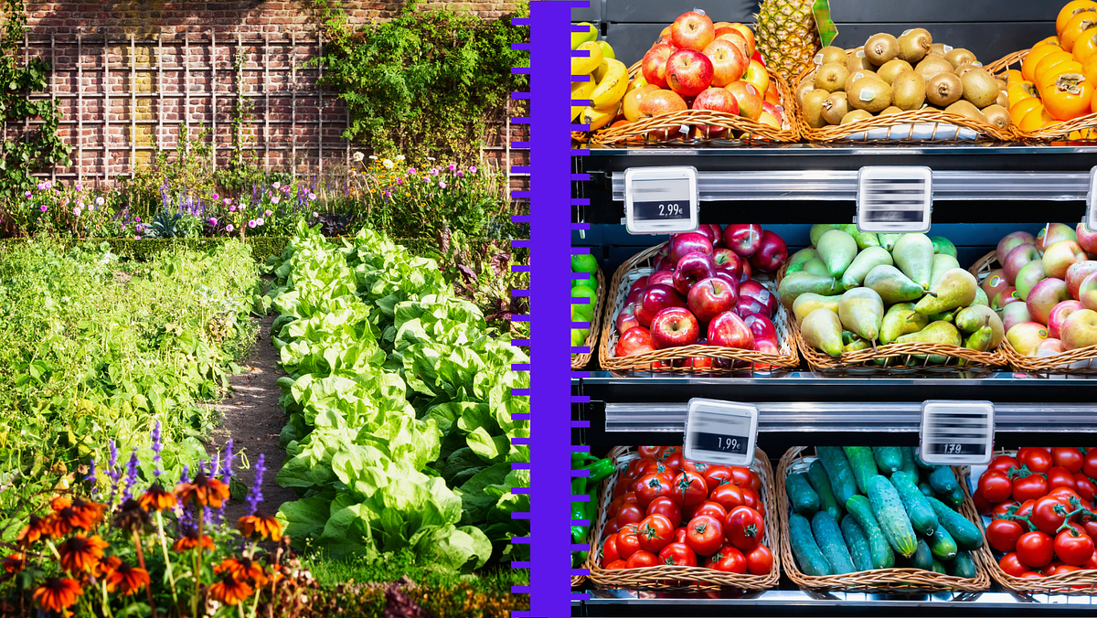 How I saved almost a salary by growing my own vegetables | by Simone ...