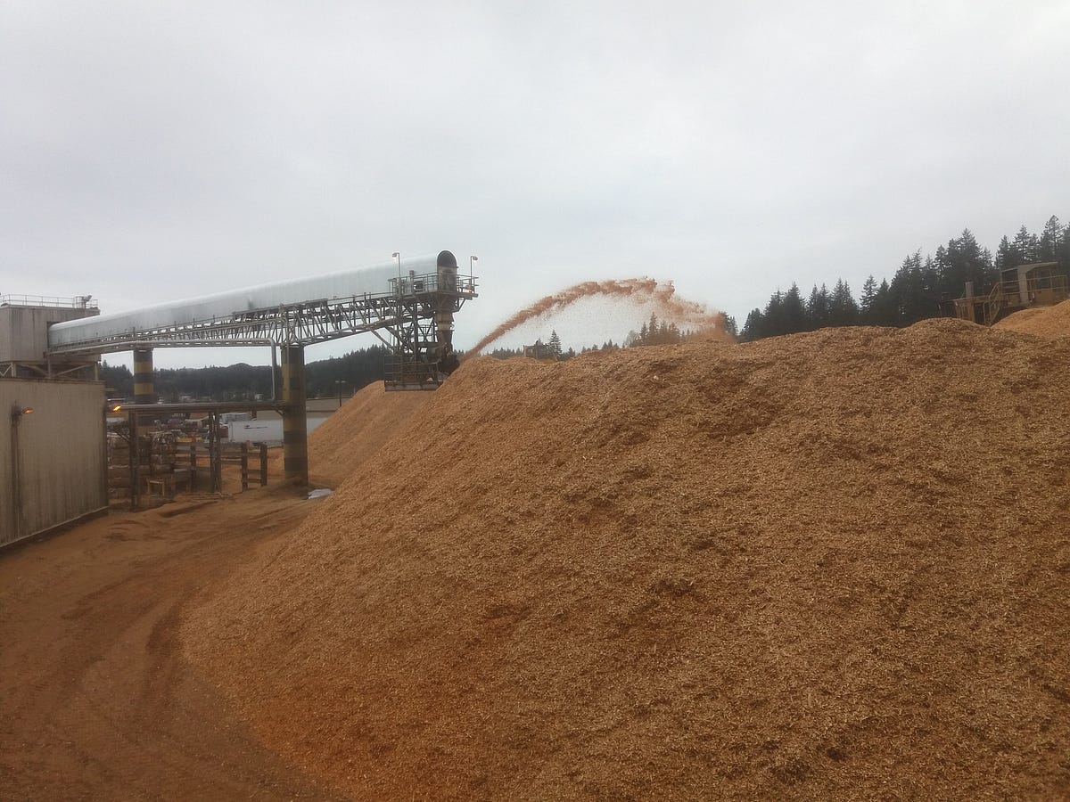 Kraft Pulping ~ Chip to Dirty Pulp | by Lucas Moyer | The Koi Life | Medium