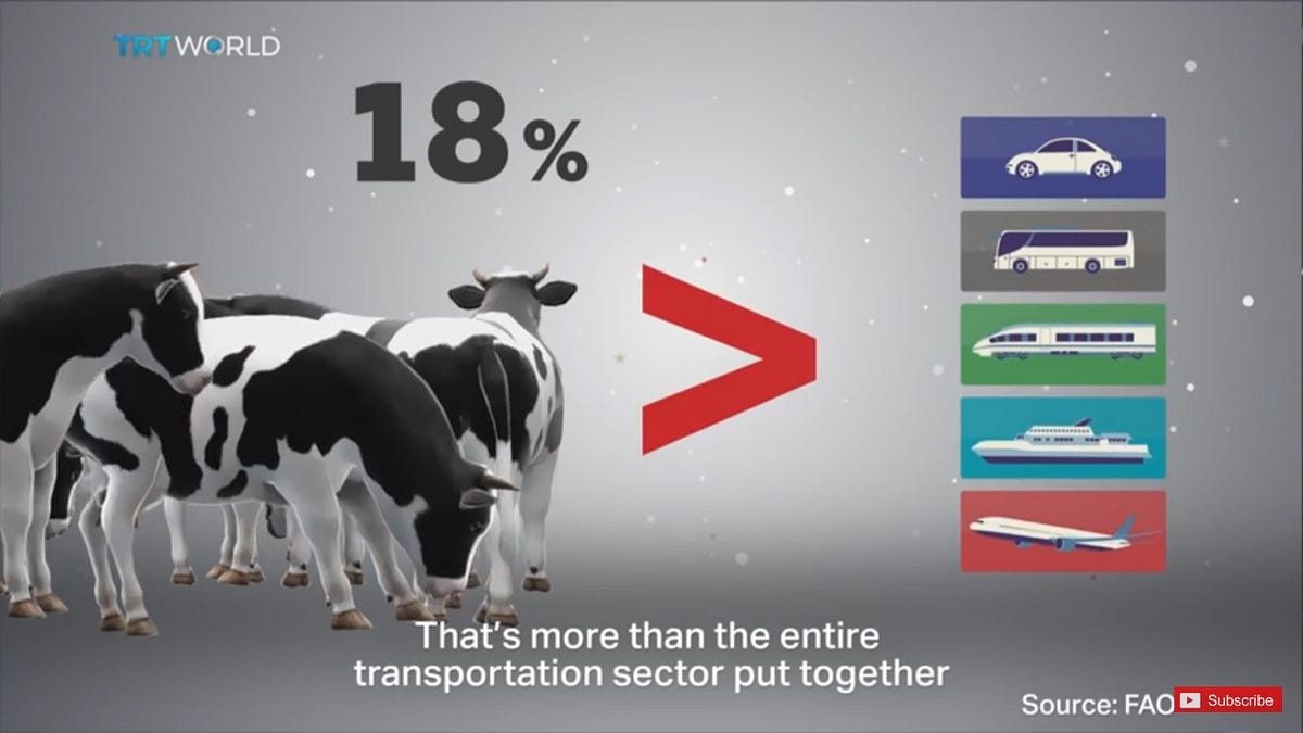 Cow farts and climate change. 18% of all climate change emissions are ...