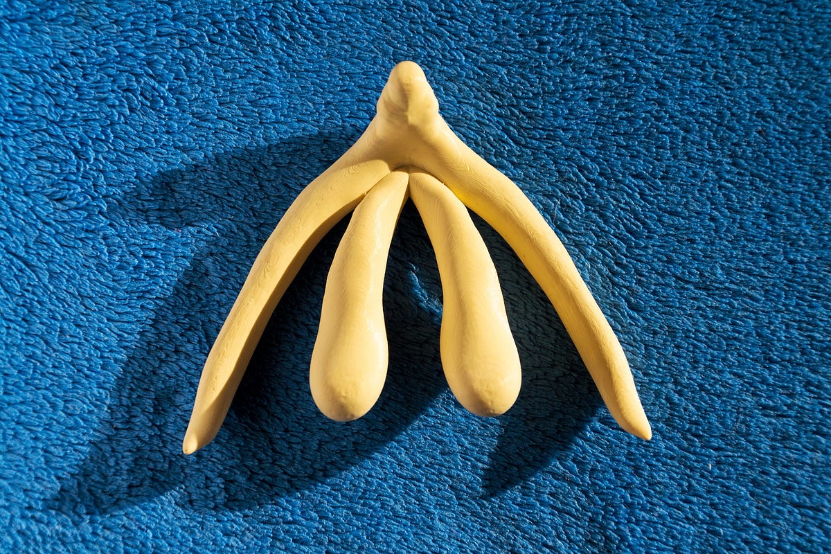 Map the Intimate Physical Vibrations that Engage Your Clitoral Engine ...