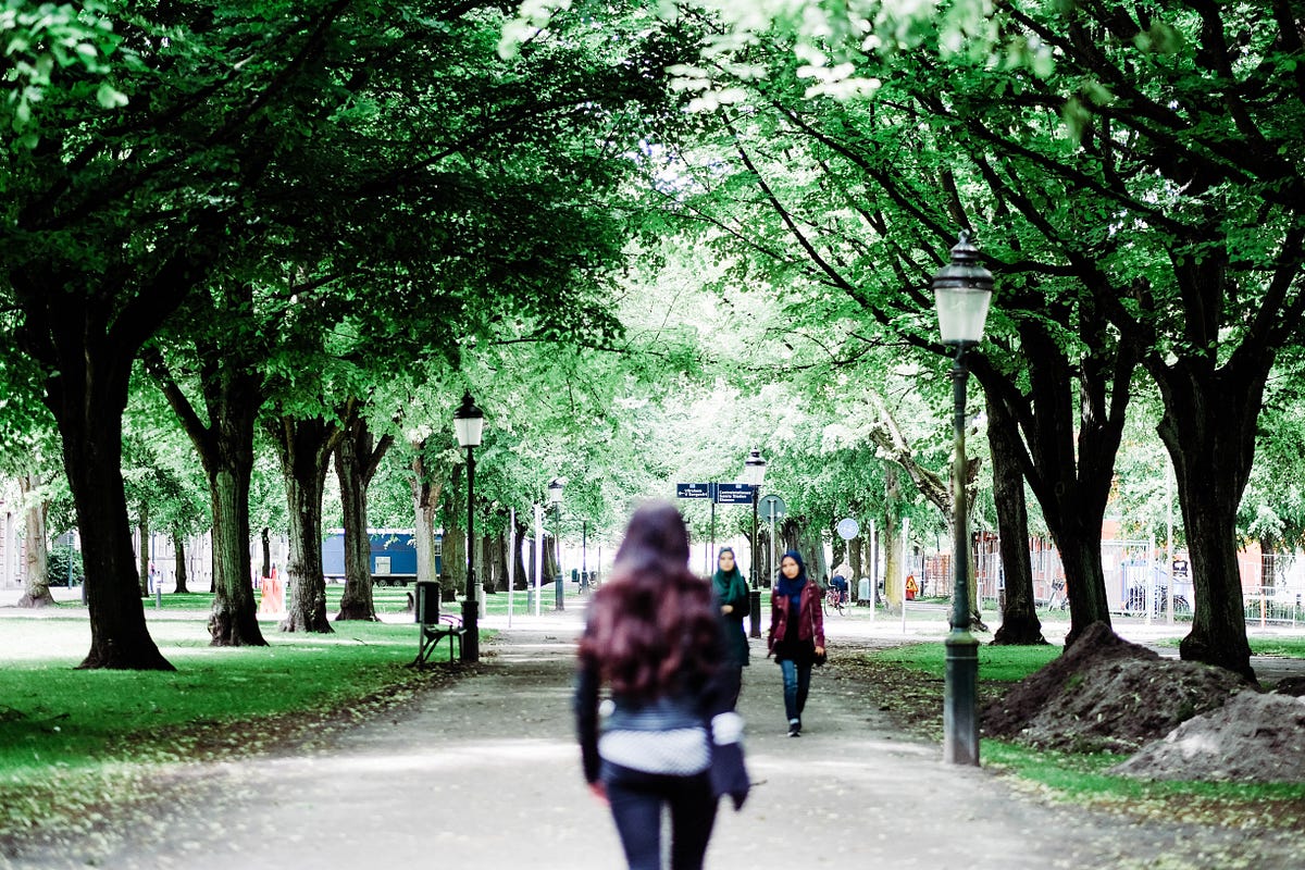 Taking long walks is therapeutic for your mind | by Leo Zeballos ...