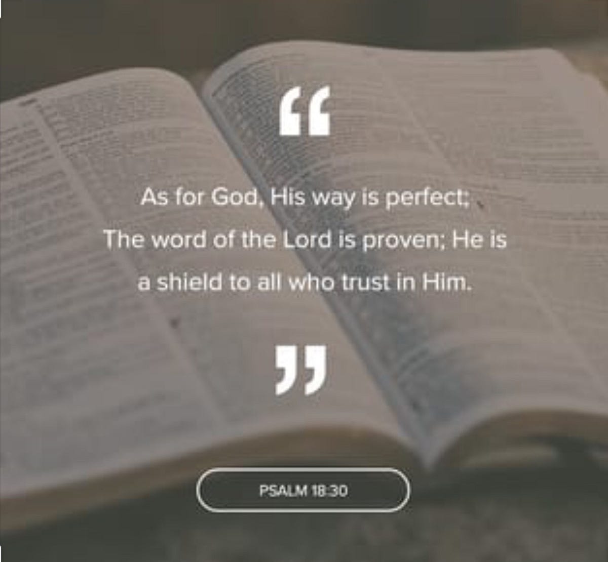 Protected Psalm 18 30 36 NLT By Linda Carlton Medium