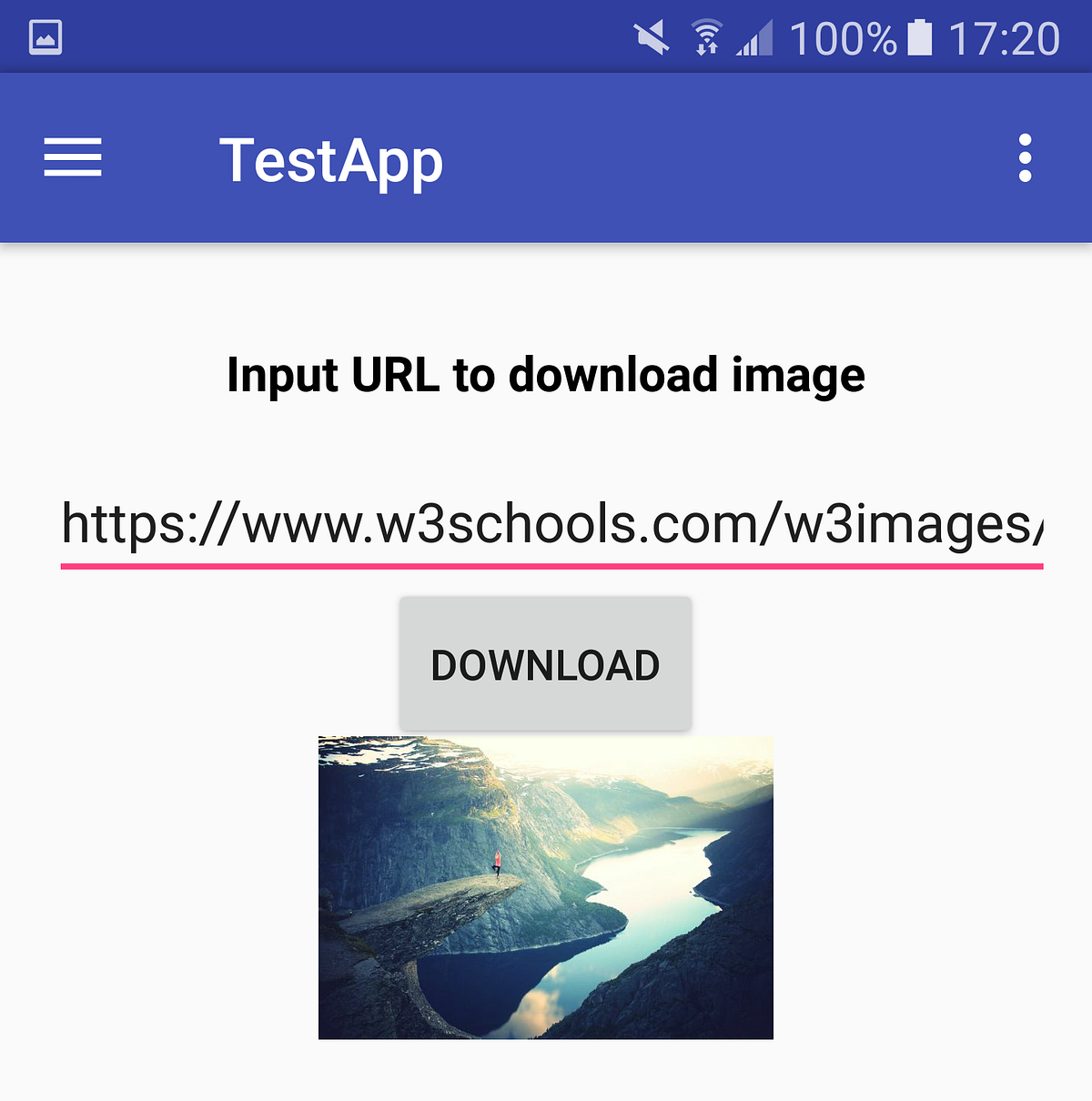 How to Download and Save Picture AKA How to Implement Custom Java ...