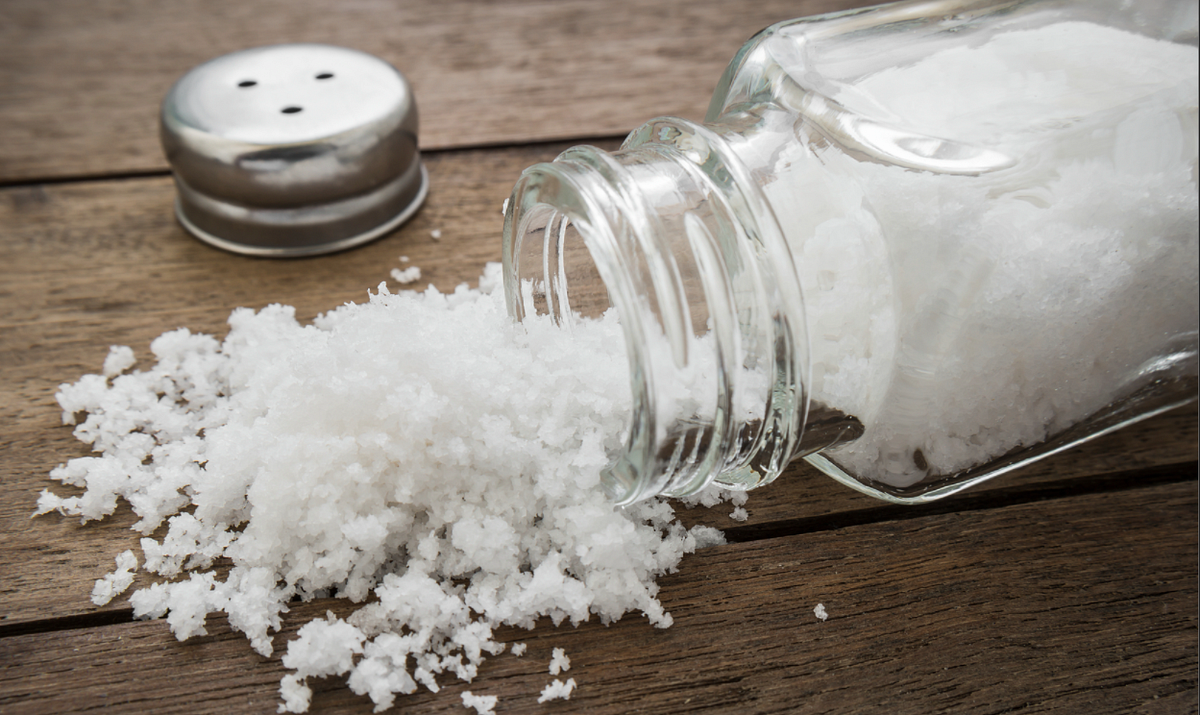 Salted Bird’s Tail. A new way of birding | by Angie Pazhavila | Medium