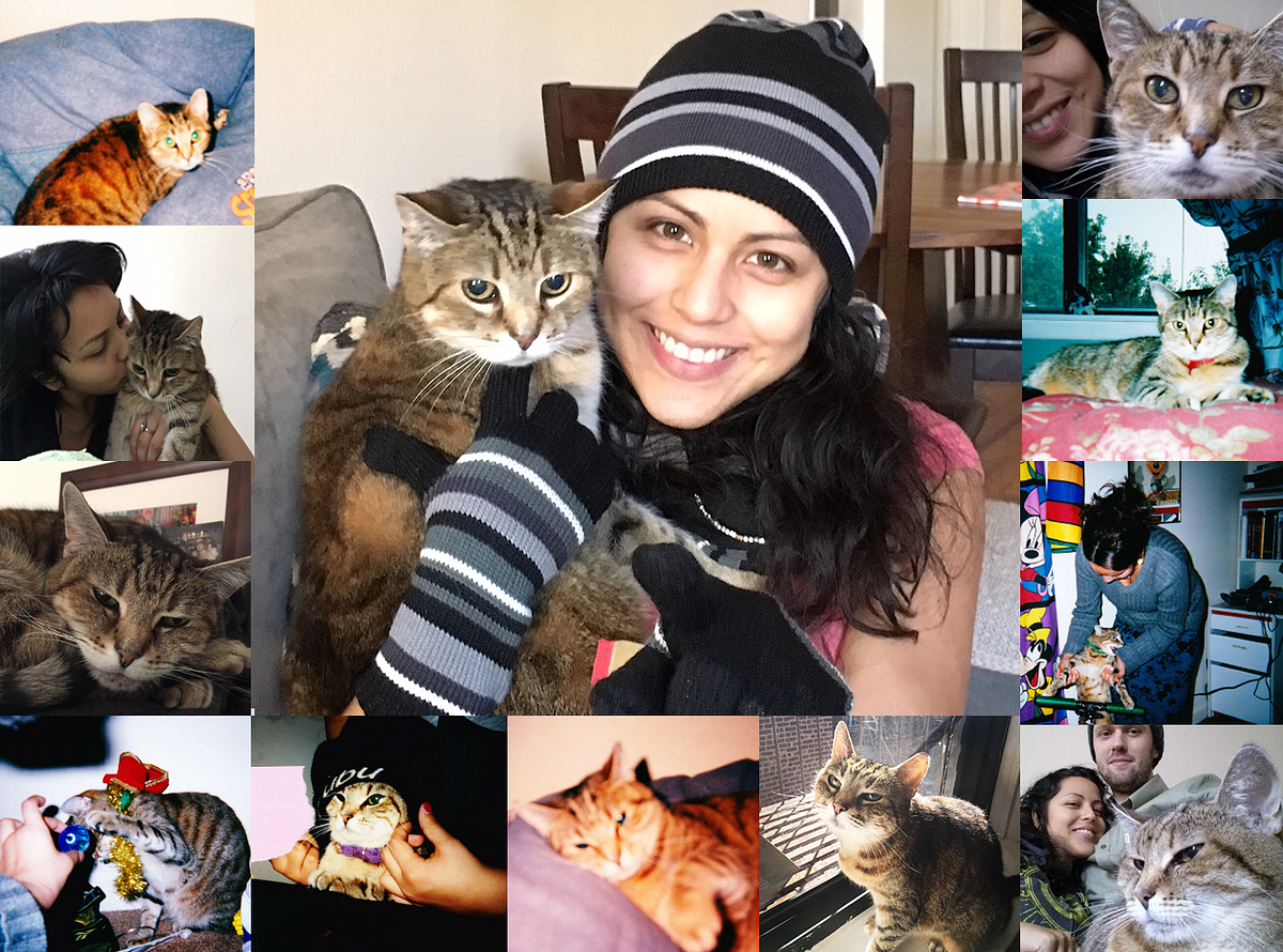 Saying goodbye to my beloved pet: | by Gigi Pena | Medium