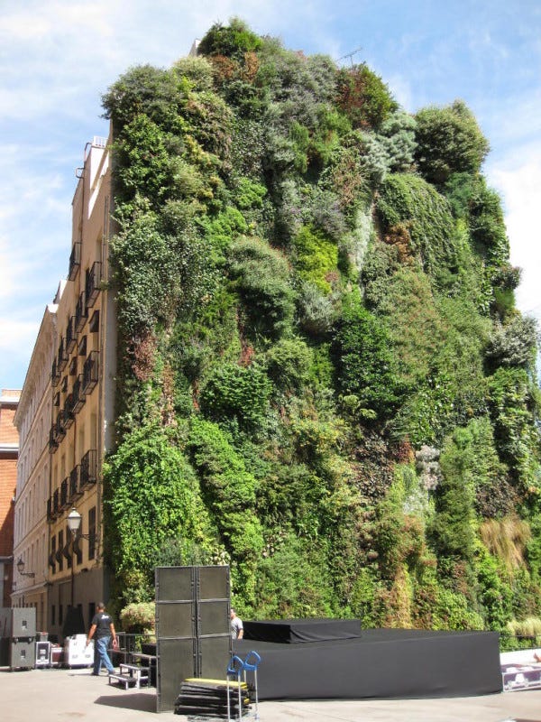 Environmental design. Environmental design appeared as a… | by Ангелина ...