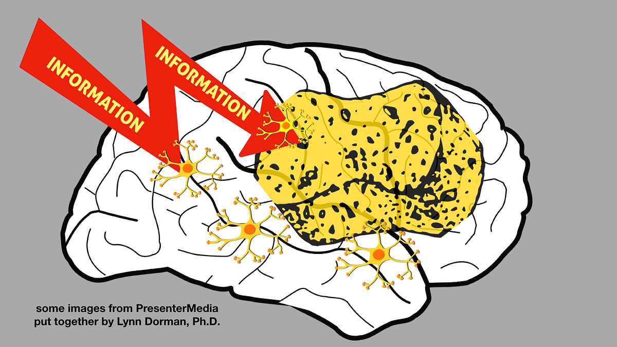 I Have A Sponge Brain; Do You?. because some of our brains are just ...