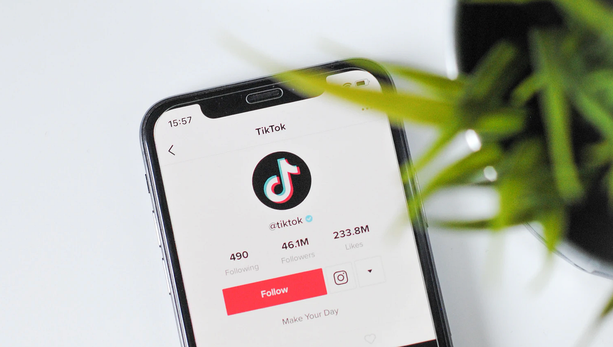 These Are The Programming Languages That Built TikTok | by Manpreet ...