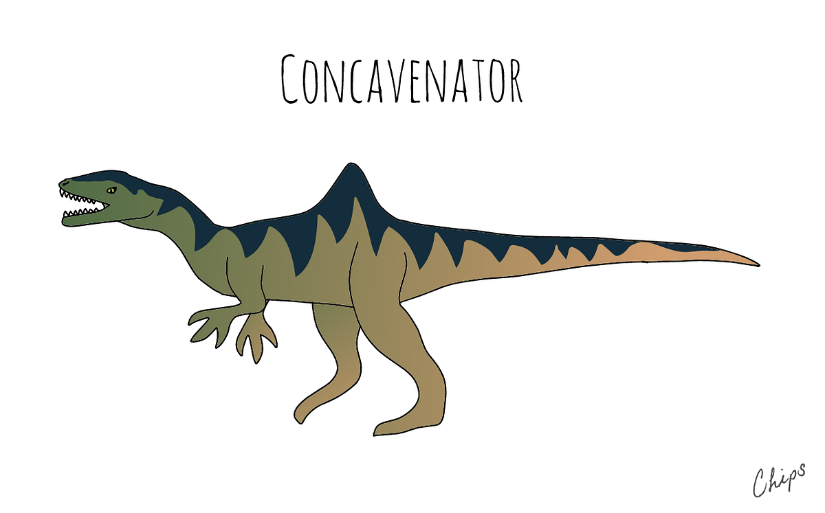 Concavenator corcovatus. You know a dinosaur discovery is… | by Chips ...