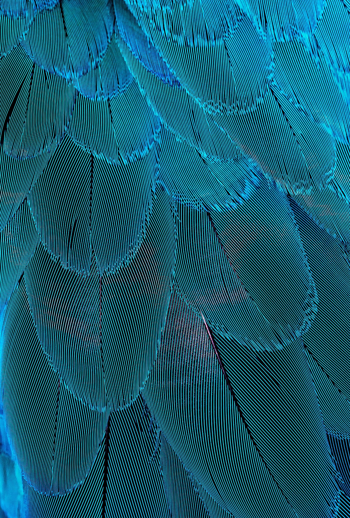 100-days-of-machine-learning-gsa