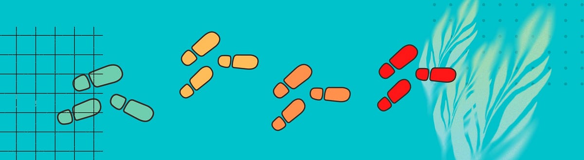 A Simple Step By Step Guide To Write A Well-Composed Medium Article | by Joachim Guth ...