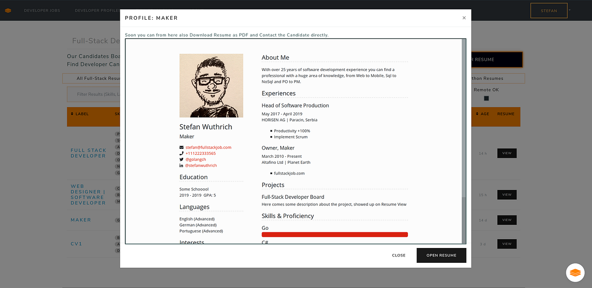 Build your free Full-Stack Developer Resume/CV | by Golang + | boardengine.io —( Job) Board ...