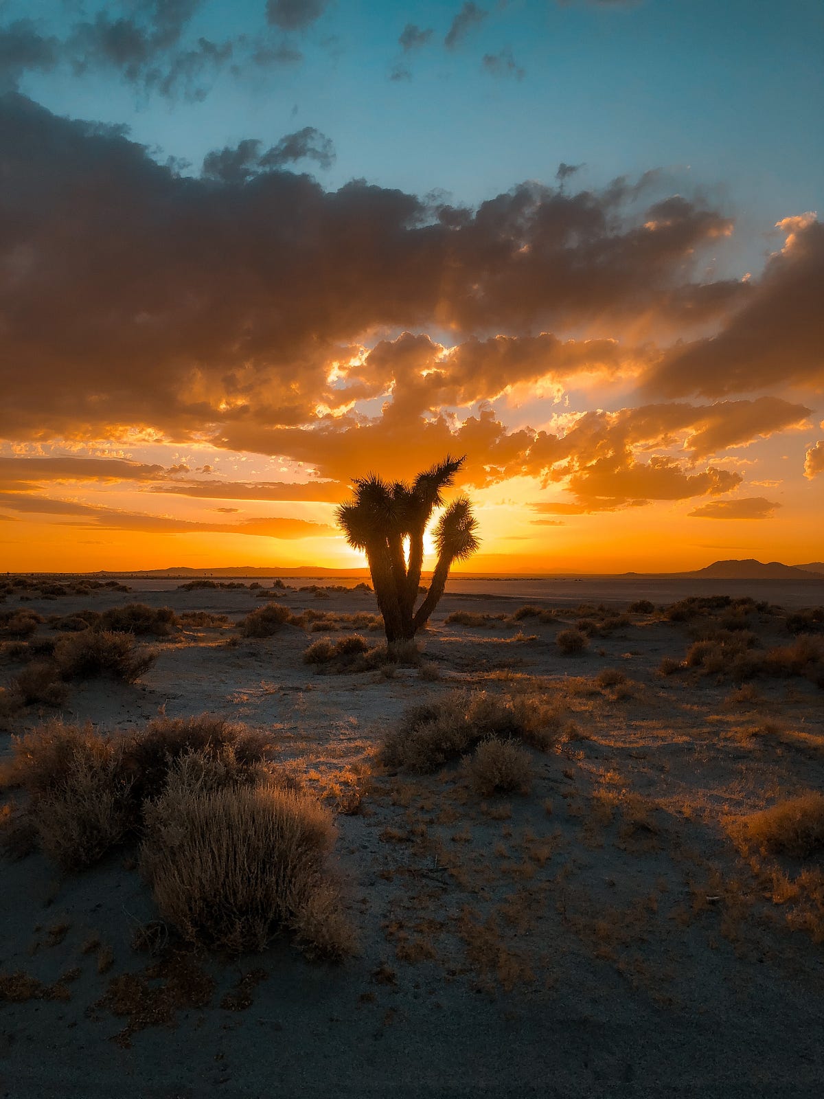 Western Mirage. Poetry | by Christopher Massimine | The Lark | Nov ...