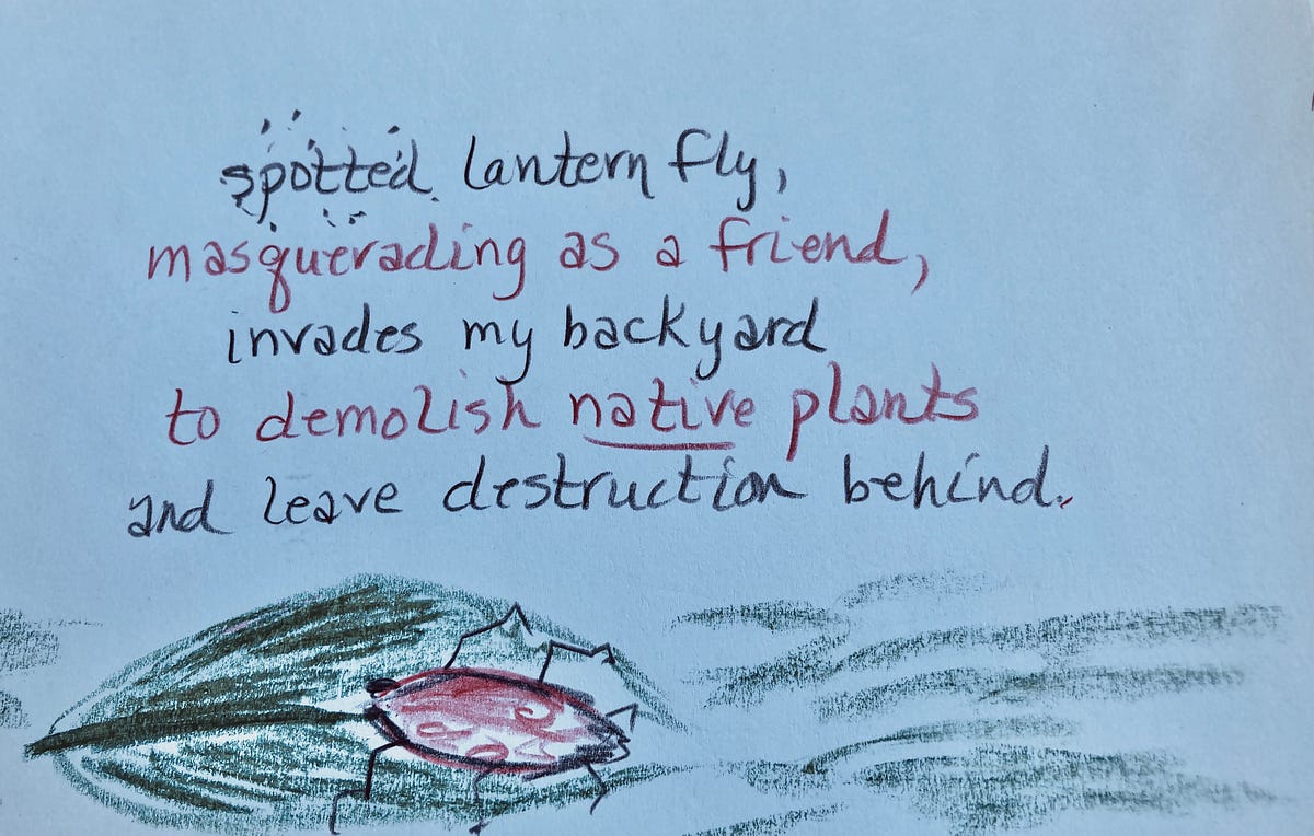 Insect — friend or foe?. Newest attempt at haibun poem | by Thalia Dunn ...