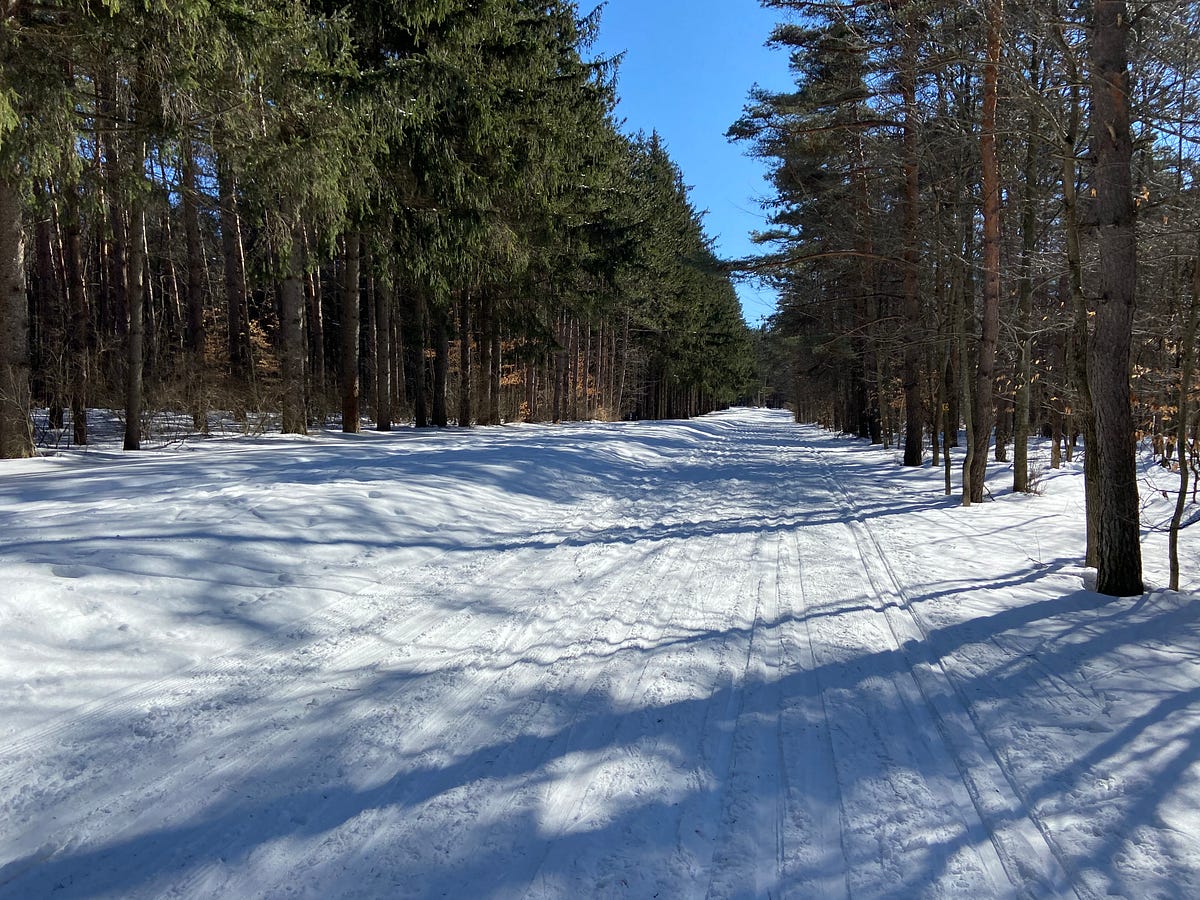 The Road Less Travelled-A Series. Volume 7-Highland Forest- An Onondaga ...