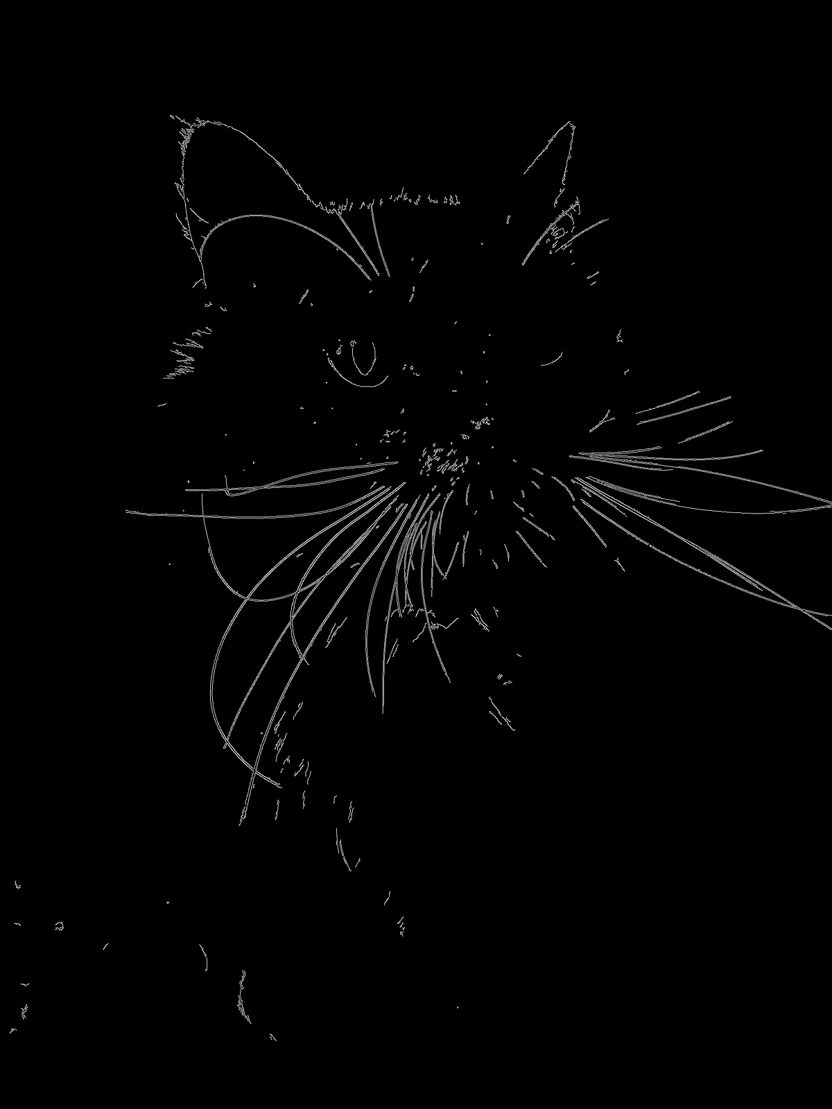 Real Time Edge Detection In Browser By Andrew Udell Towards Data Science